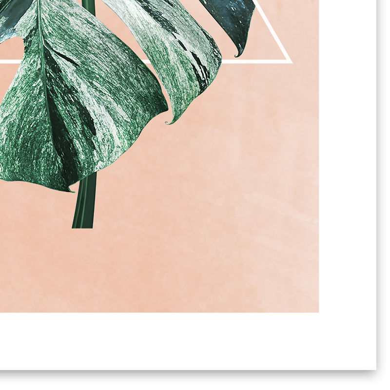 Variegated Monstera Wall Art Print (2 of 3) – Wild Abode